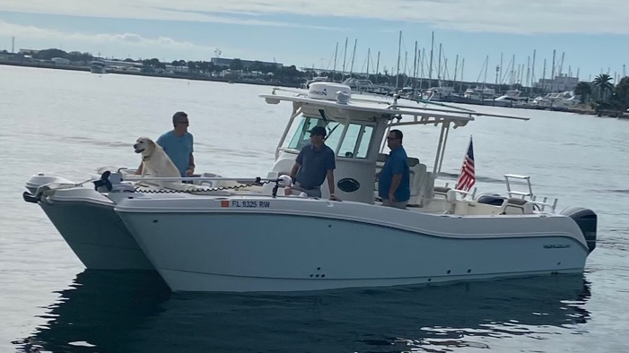 Rent this 32' Worldcat on Anchor